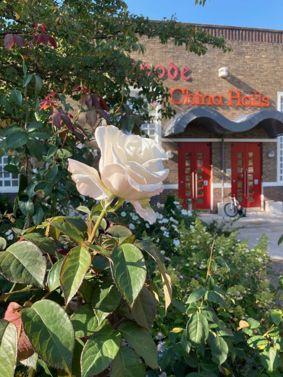 The Living Garden - British Ceramics Biennial